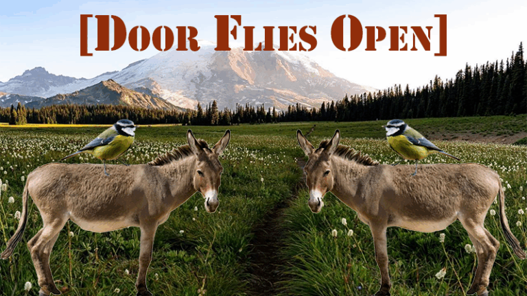 Sexy Friday – 20260508 – [DOOR FLIES OPEN]